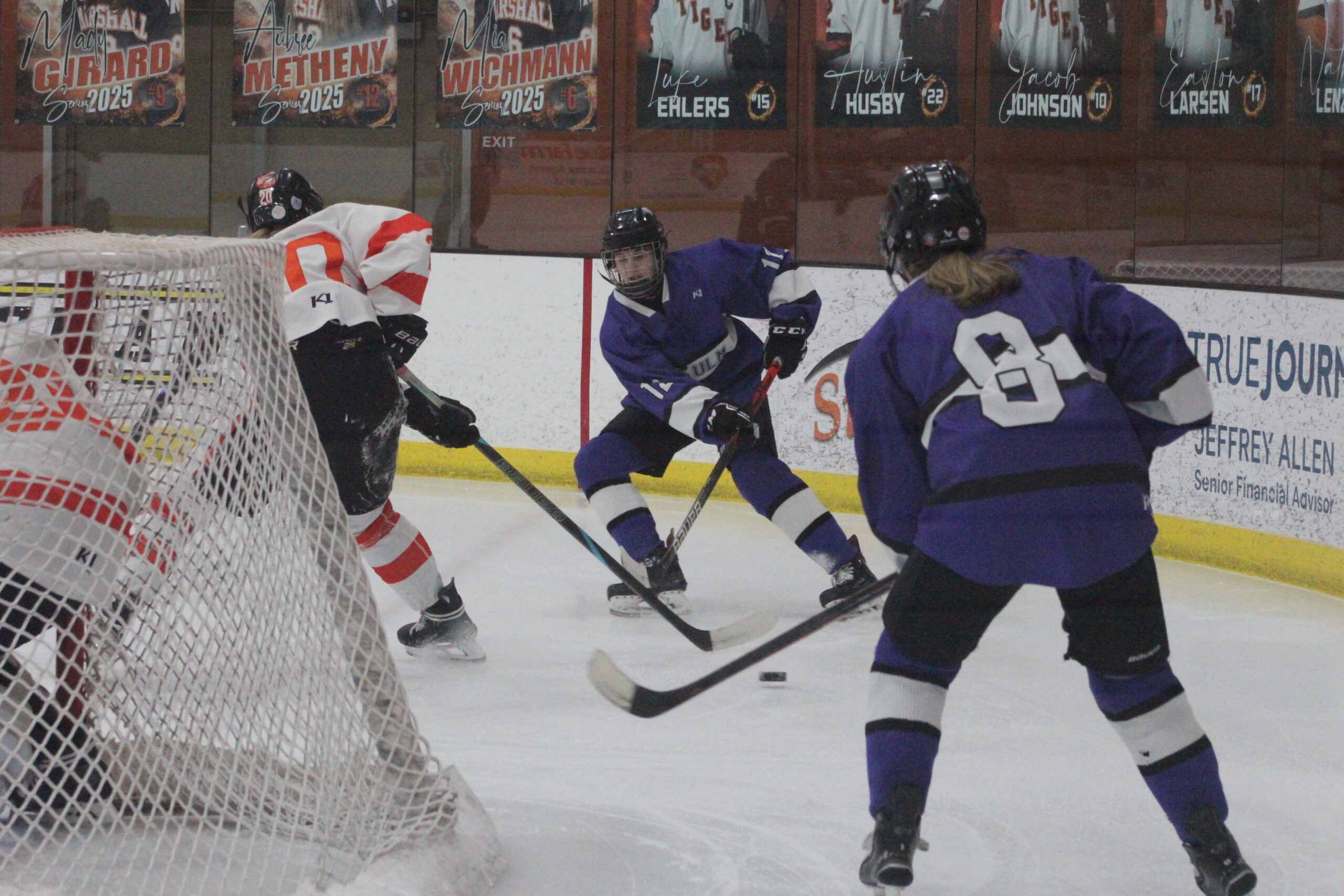 Eagles fall to Tigers 2-1 in section semifinals | News, Sports, Jobs ...